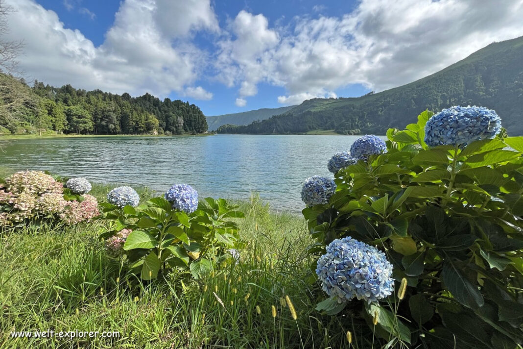 Azoren: Insel São Miguel und Hauptstadt Ponta Delgada - Welt Explorer